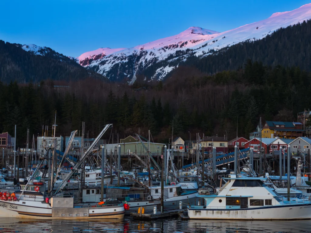 The Alaska Earthquake and Tsunami Alert: What Happened and What You ...